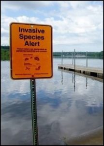 AIS is still spreading in Minnesota – Minnesota Coalition of Lake ...