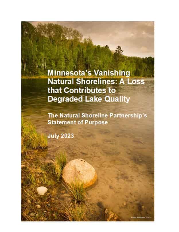 Vanishing natural shorelines hurt lake quality – Minnesota Coalition of ...