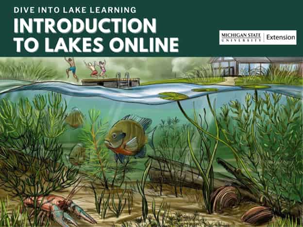 MSU again offers Introduction to Lakes Online course – Minnesota ...